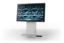 Index of /images/